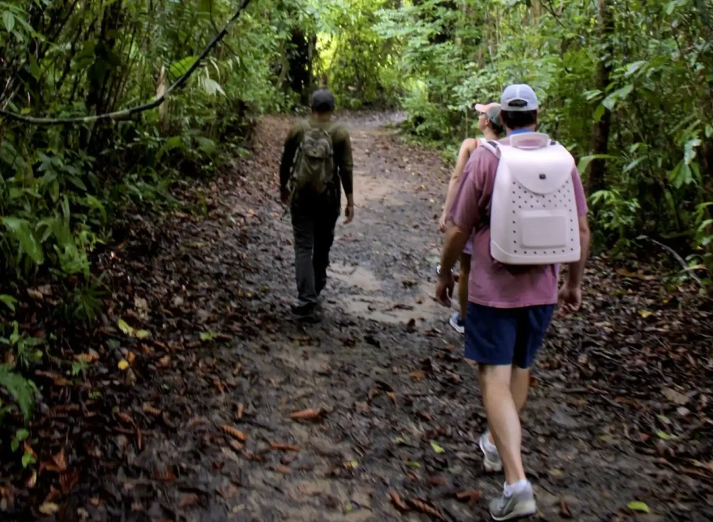 Wildlife Watching in Belize: Where to Go, What to See, and When